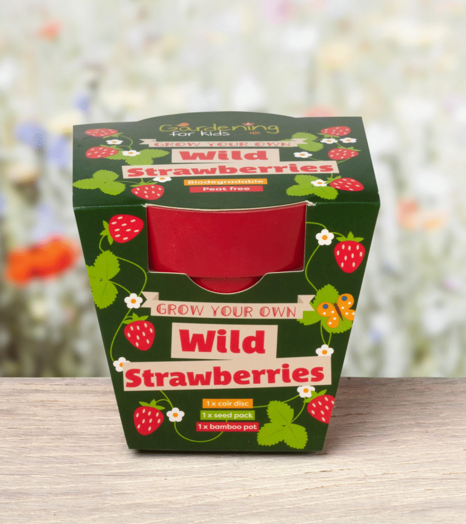 Wild Alpine Strawberry Wildflower Growing Kit with Pot